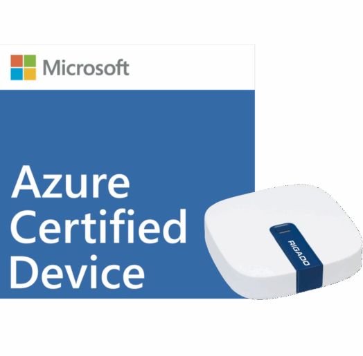 Enterprise IoT Networks | Rigado